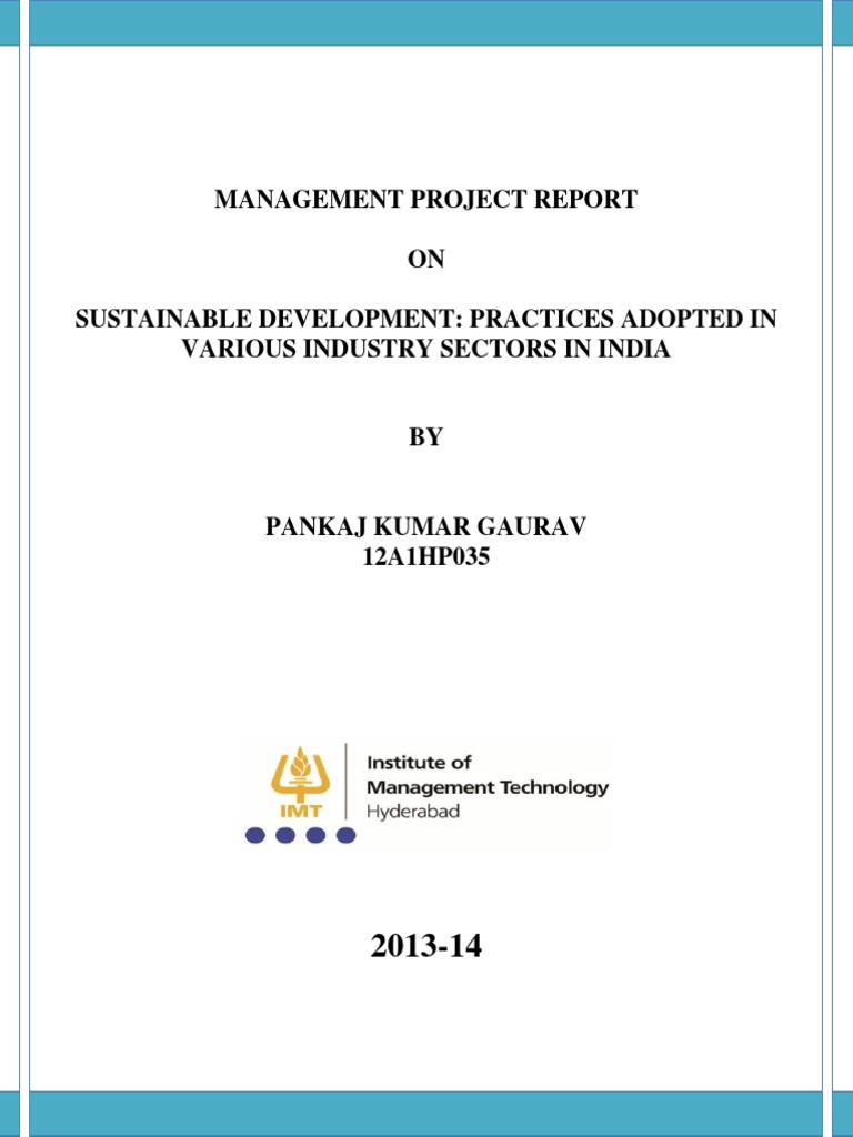 Management Project Report - Business Strategies For Sustainable ...