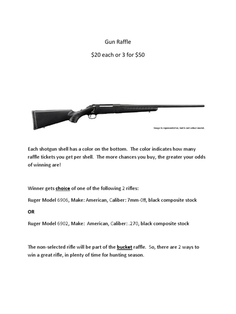 Gun Raffle | PDF | Ammunition | Rifle