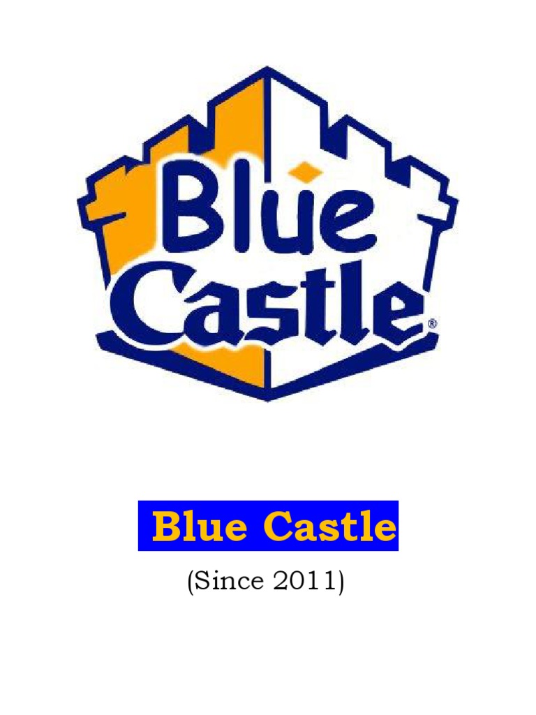 Project Report On Blue Castle (RM) | PDF | Fast Food Restaurants | Fast ...