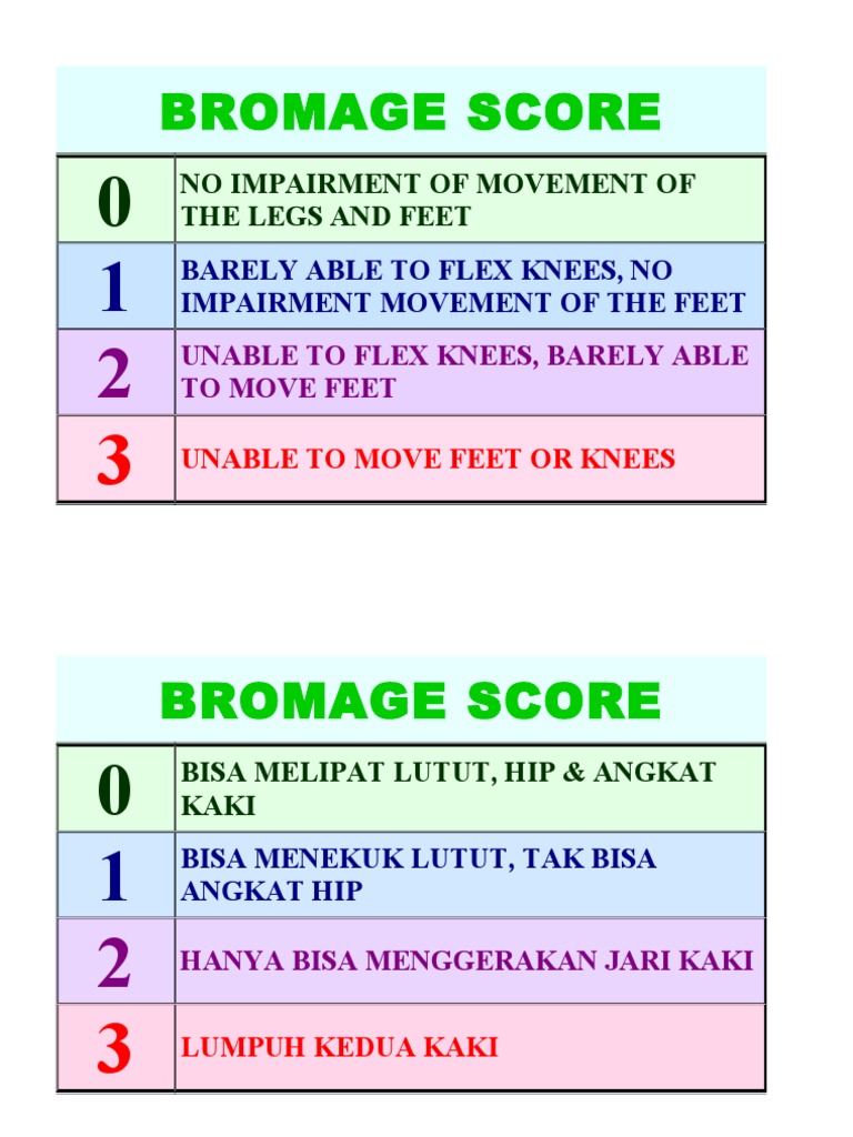 Bromage Score | PDF | Griya & Taman