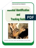Bto Bird Species Codes | PDF