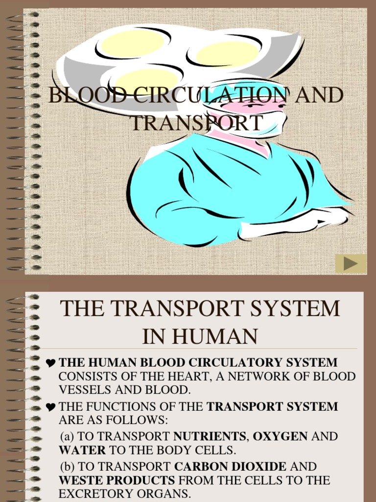 Blood Circulation and Transport | PDF | Circulatory System | Heart