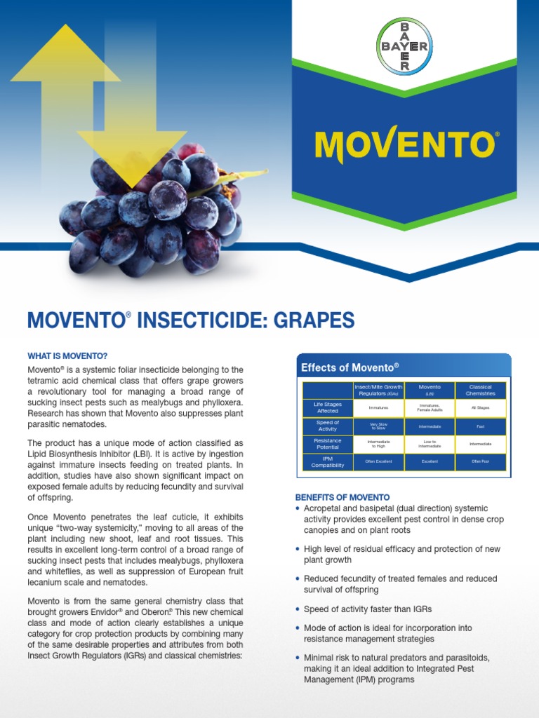 2012 Movento 2-Way Systemic Insecticide - Grape Post Harvest | PDF ...