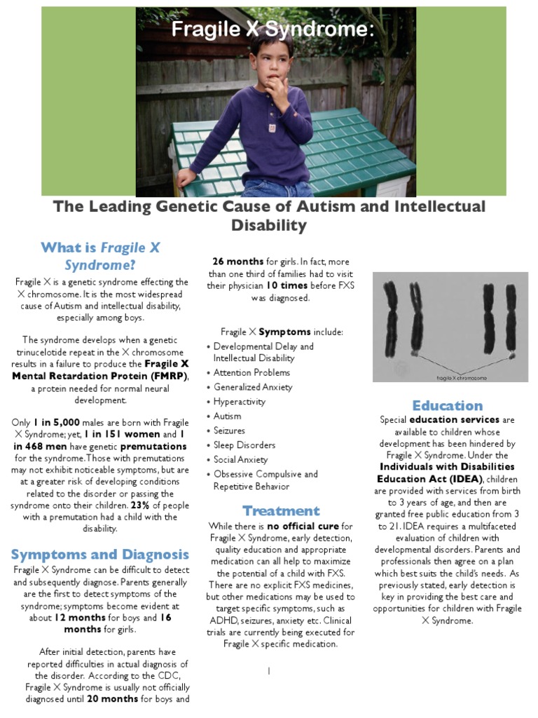 Fragile X Syndrome Fact Sheet | PDF | Autism | Attention Deficit ...