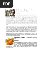 Plantilla para Rifa 100 Numeros | PDF