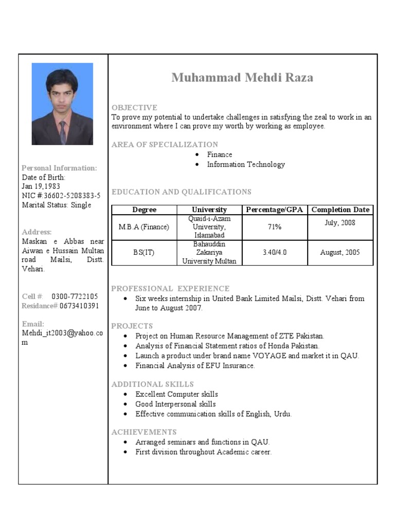Muhammad Mehdi Raza's Resume | PDF