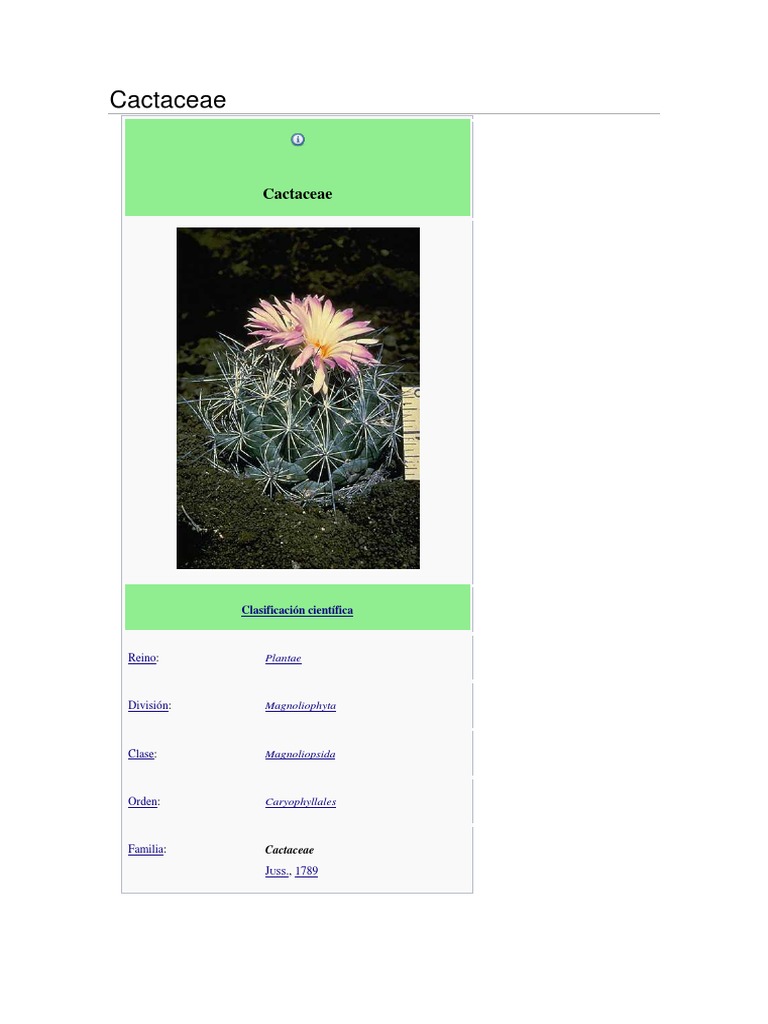 CACTUS | PDF | Plantas | Botánica