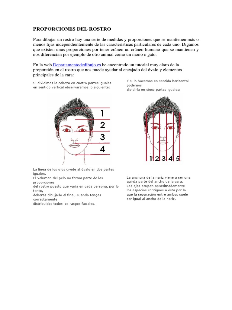 Proporciones Del Rostro Pdf Cara Homo Sapiens
