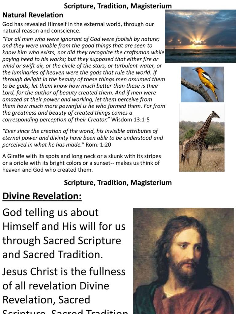 Understanding the Magisterium's Role | PDF | Sola Scriptura | Pope