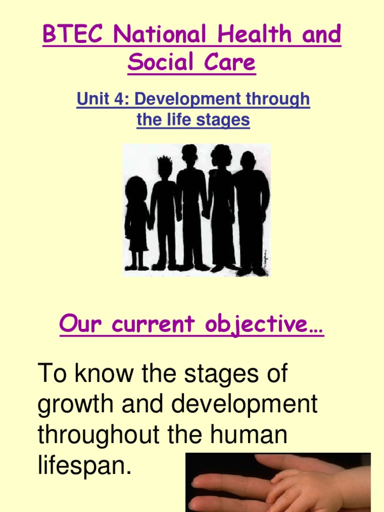 Pies Life Stages 88 Slides | PDF | Cognitive Development | Socialization