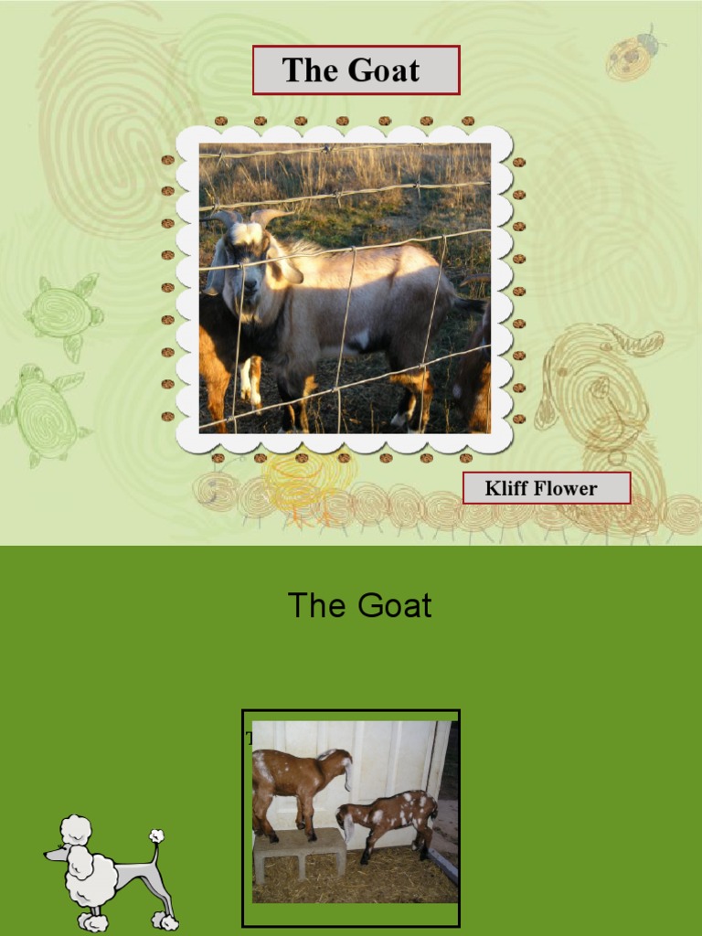 The Goat 252473 | PDF
