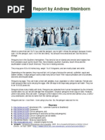 Fact vs Opinion: Penguins Game | PDF