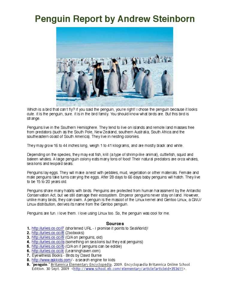 Penguins for Young Enthusiasts | PDF
