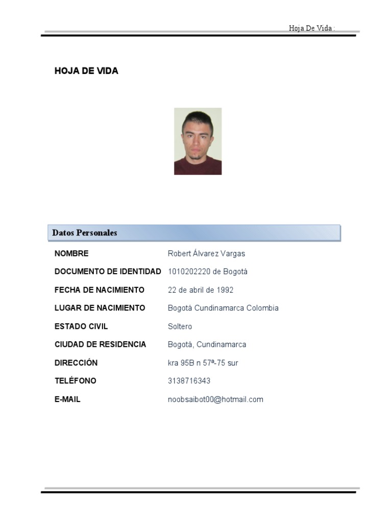 Hoja de Vida Robert | PDF