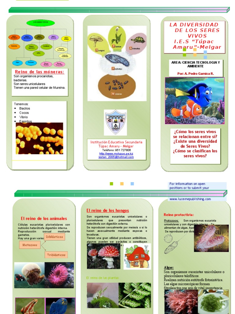 Folleto Seres Vivos | PDF | Algas | Eucariotas