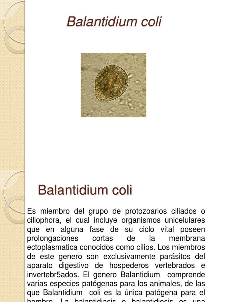Balantidium coli: Síntomas y Tratamiento | PDF | Ciencias de la Salud ...