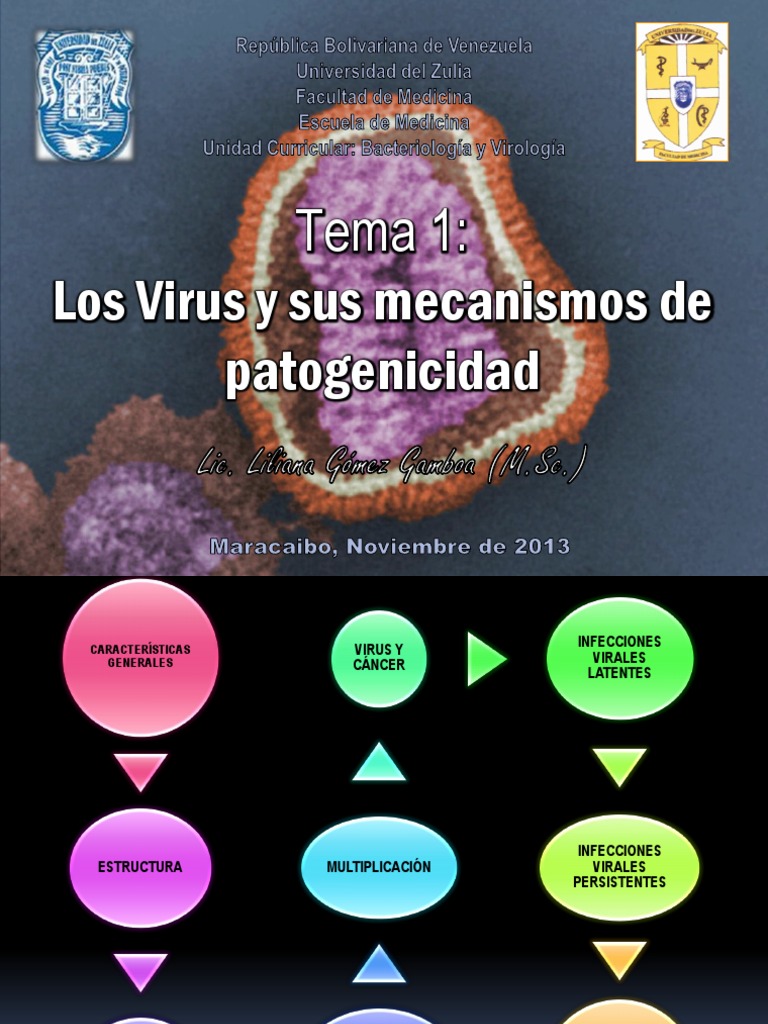 Tema 1 Los Virus Y Sus Mecanismos De Patogenicidad Pdf Bacteriófago