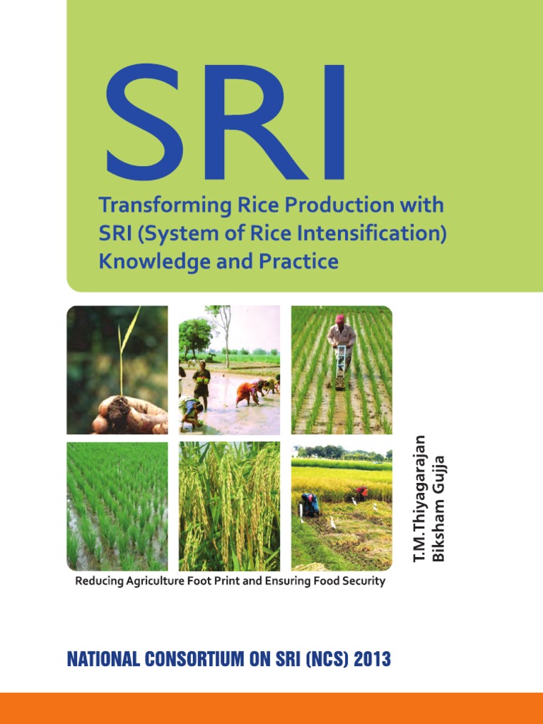 SRI Book Final Version | PDF | Rice | Green Revolution