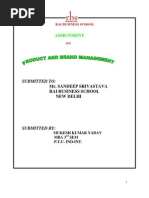 Overview of RSPL Group and Brands | PDF | Brand | Economies