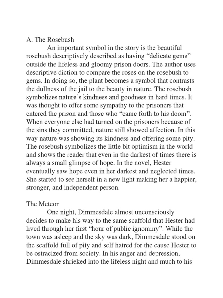 The Scarlet Letter Symbols | PDF | The Scarlet Letter