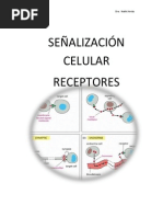 Complejo SNARE y fusión de membranas | PDF | Ácido gamma-aminobutírico ...