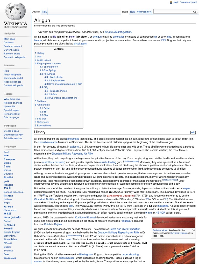 Air Gun | PDF | Firearms | Gun