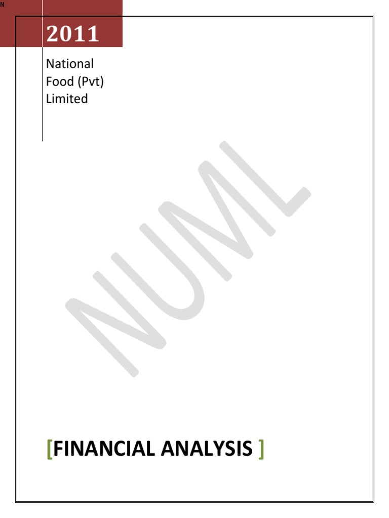 Financial Analysis of SSG | PDF | Revenue | Equity (Finance)