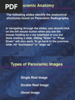 Panoramic Radiograph Anatomy Overview | PDF | Anatomical Terms Of ...