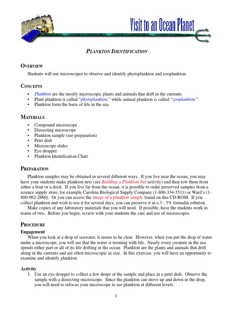 Exploring the Hidden World of Plankton: A Hands-On Activity for ...