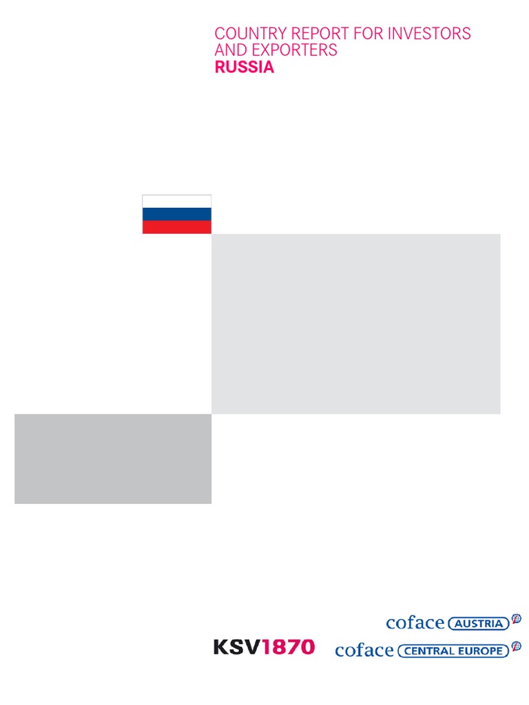 929e-0607 Country Report Russia | PDF | Bankruptcy | Limited Liability ...