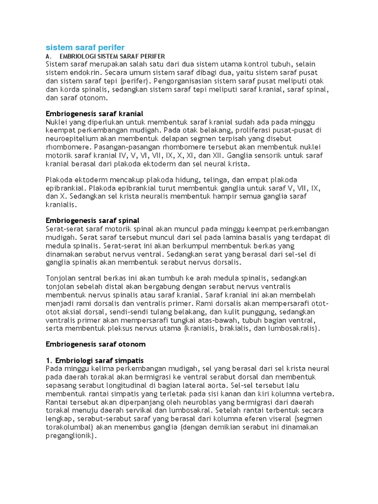 Sistem Saraf Perifer: Embriologi & Anatomi | PDF