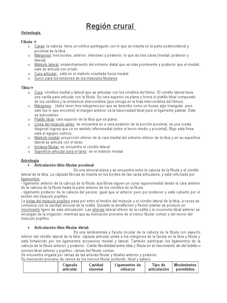 Region Crural | PDF | Tobillo | Rodilla