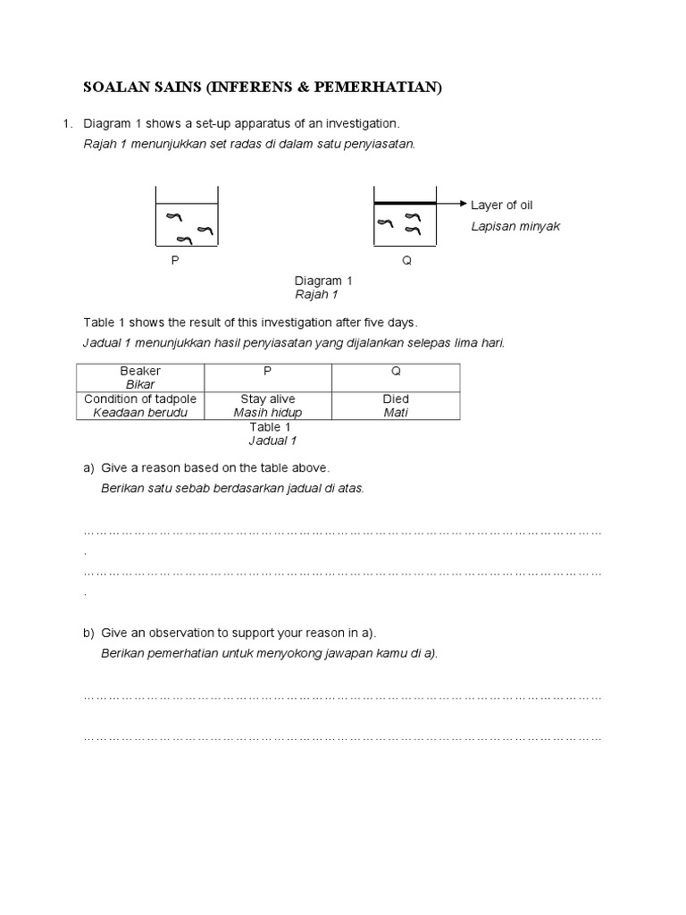 Science Observation and Inference Questions | PDF