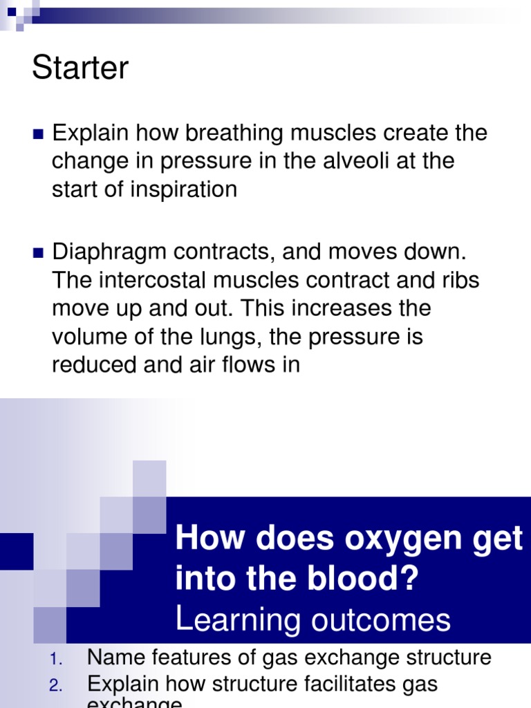 how does oxygen get into the blood | Respiration | Phases Of Matter