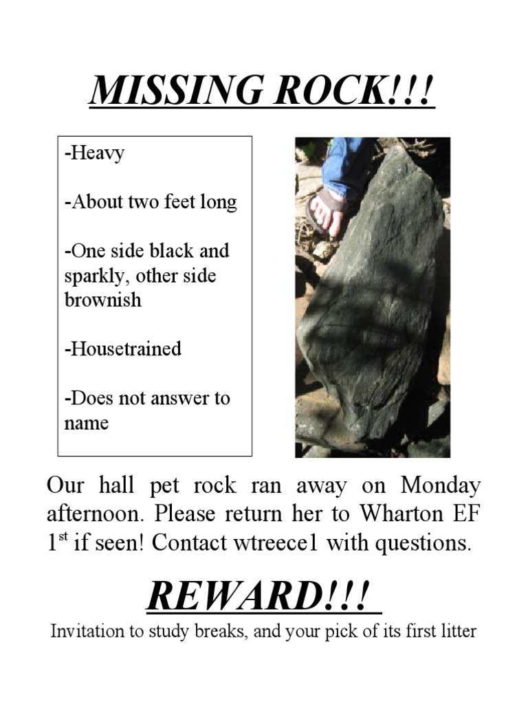 Lost Pet Rock Reward Notice | PDF