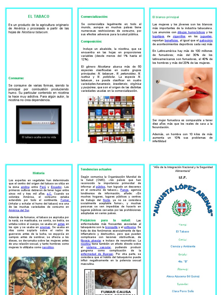 Triptico Del Tabaco | PDF