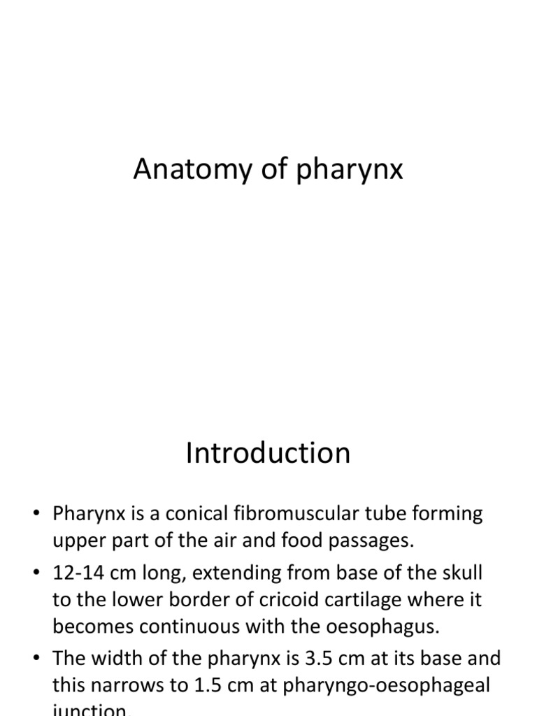 Anatomy of Pharynx | PDF | Neck | Human Head And Neck