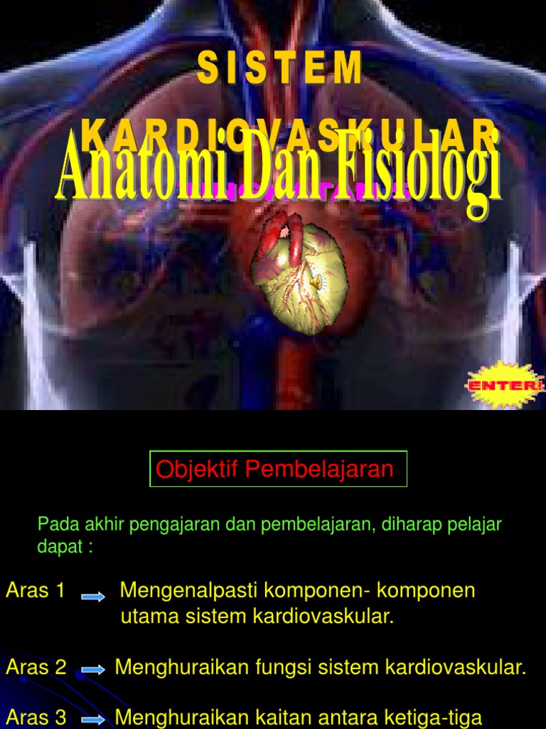 Sistem Kardiovaskular Struktur Jantung Manusia | PDF