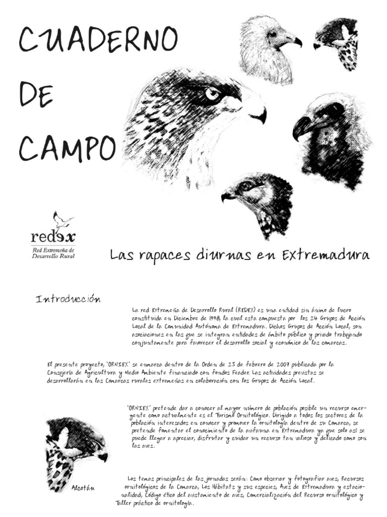 167-Cuaderno de Campo | PDF | Aves | Ornitología