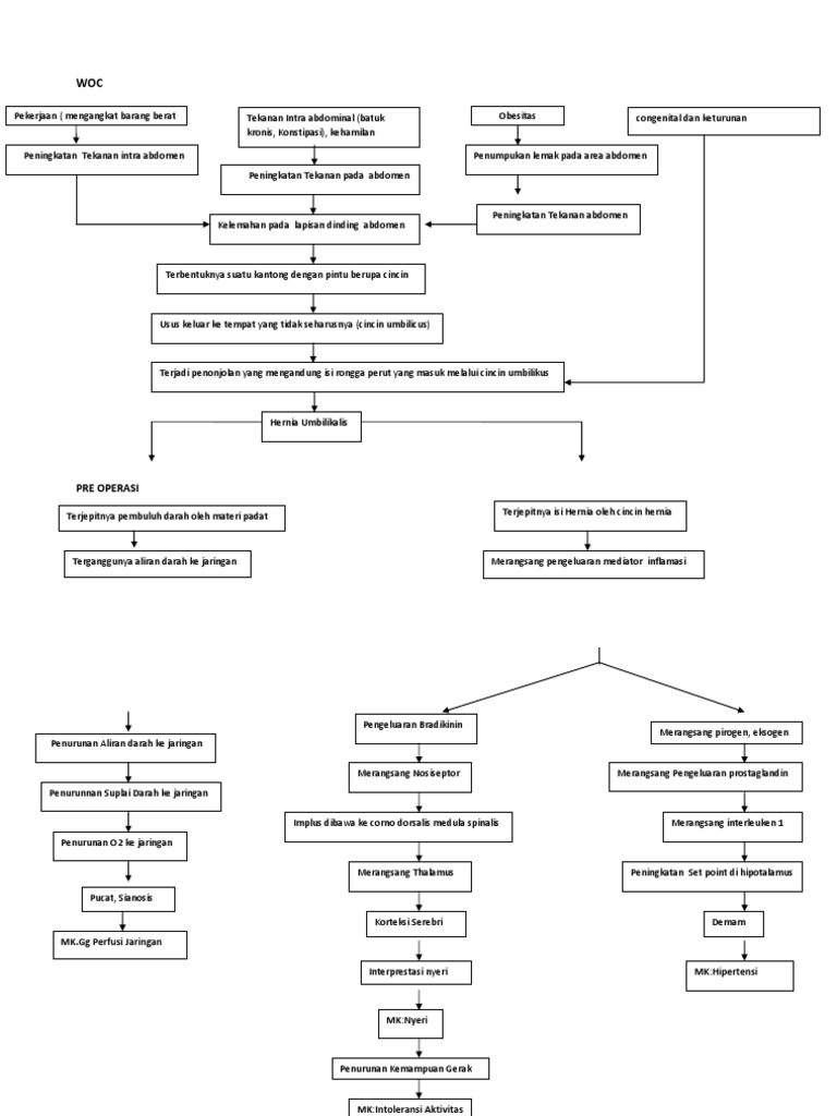 Woc Hernia Umbilikalis | PDF
