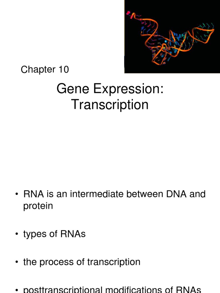 Genetics Chapter 10 | PDF