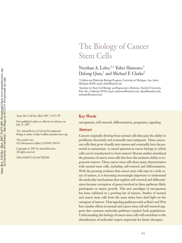 The Biology of Cancer Stem Cells | PDF | Stem Cell | Carcinogenesis