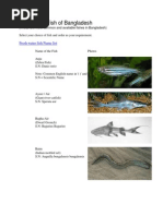 Fish Names in Indian Languages | PDF | Fish | Aquatic Animals