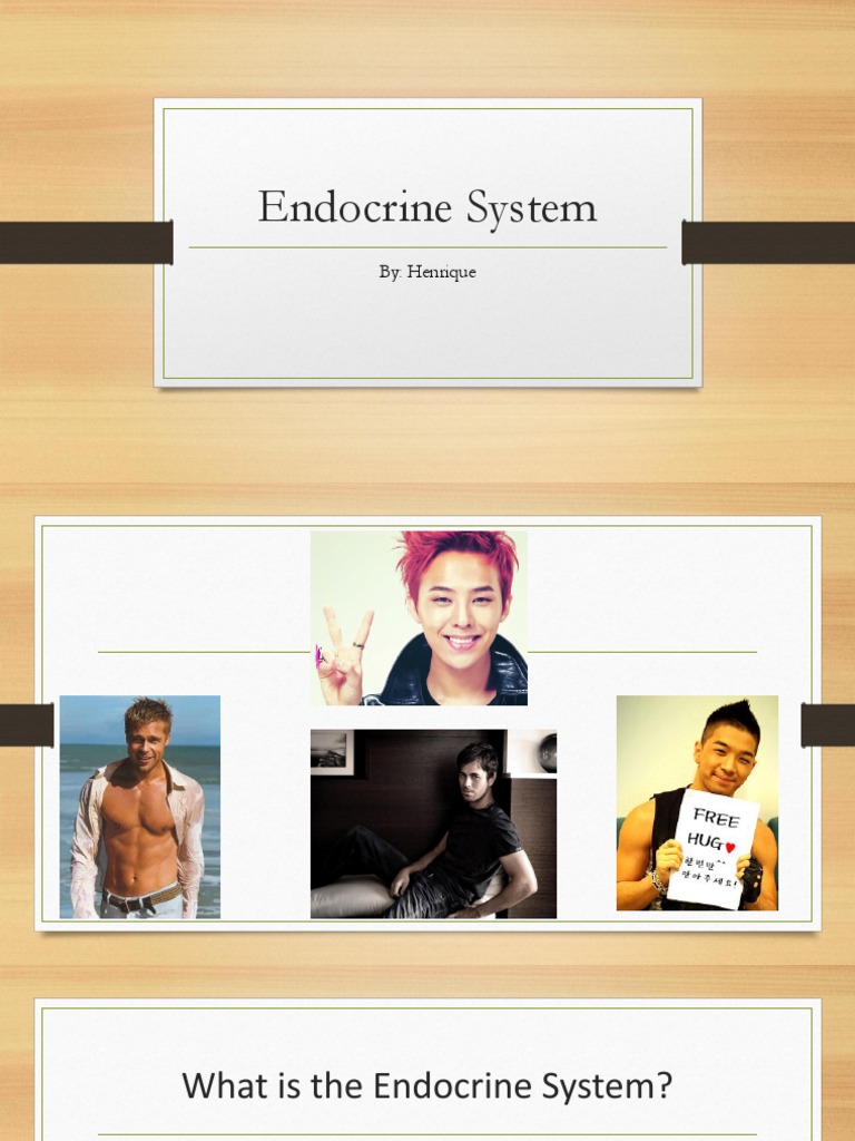 Endocrine System | Download Free PDF | Endocrine System | Hormone