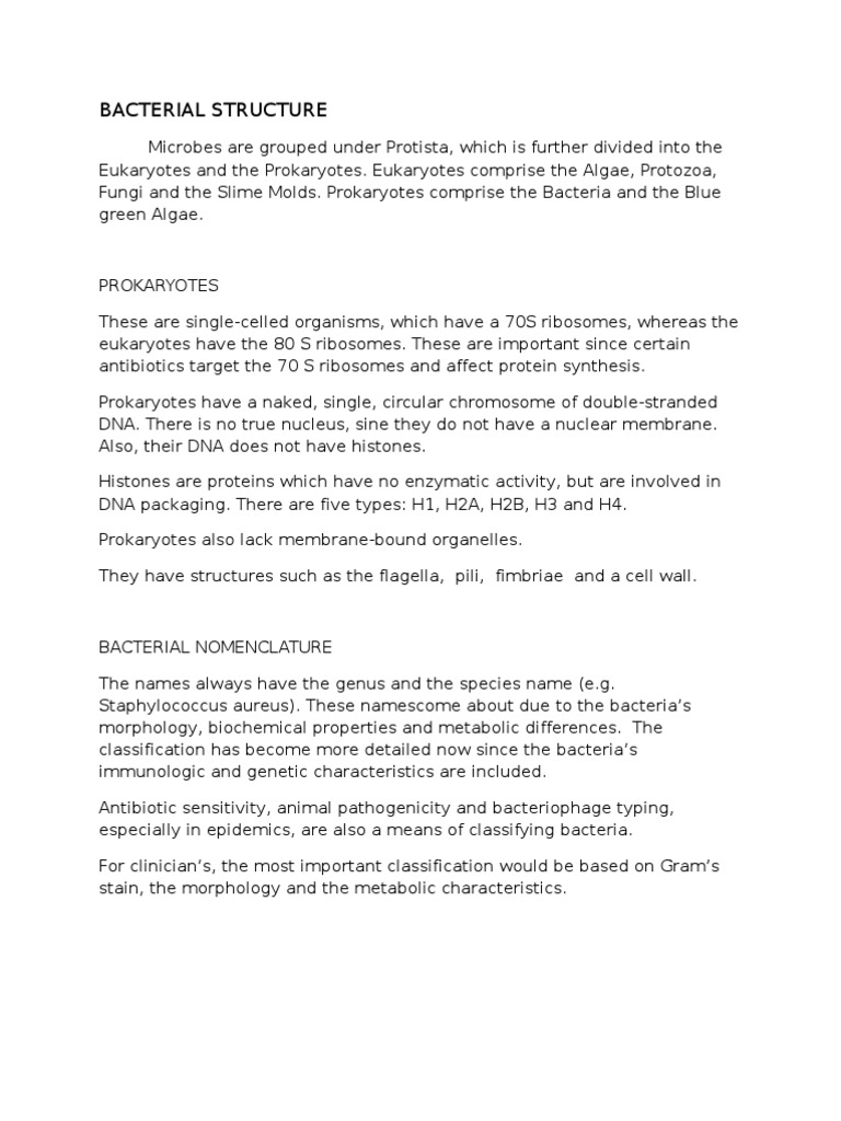 Bacterial Structure - Lecture 1 | PDF | Bacteria | Cell (Biology)