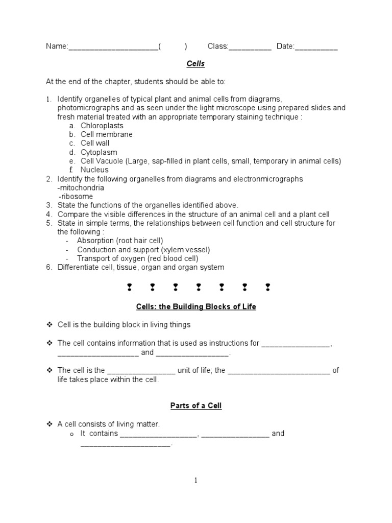 Cells: Cells: The Building Blocks of Life | PDF | Cytoplasm | Cell ...