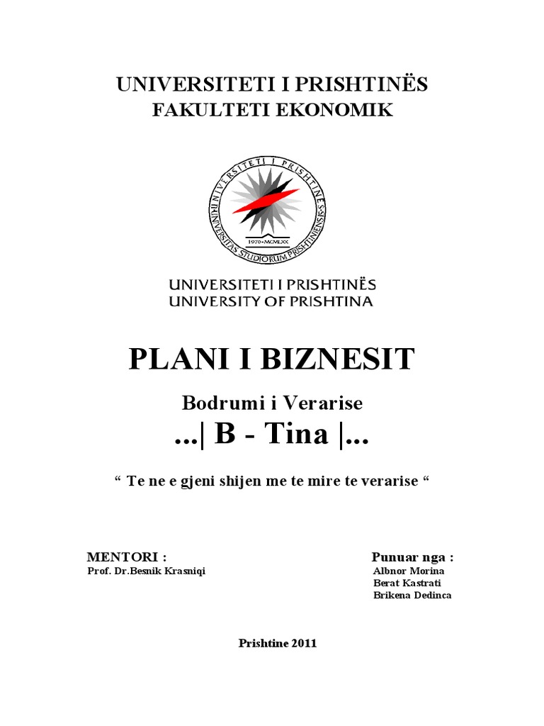 Plani I Biznesit | PDF