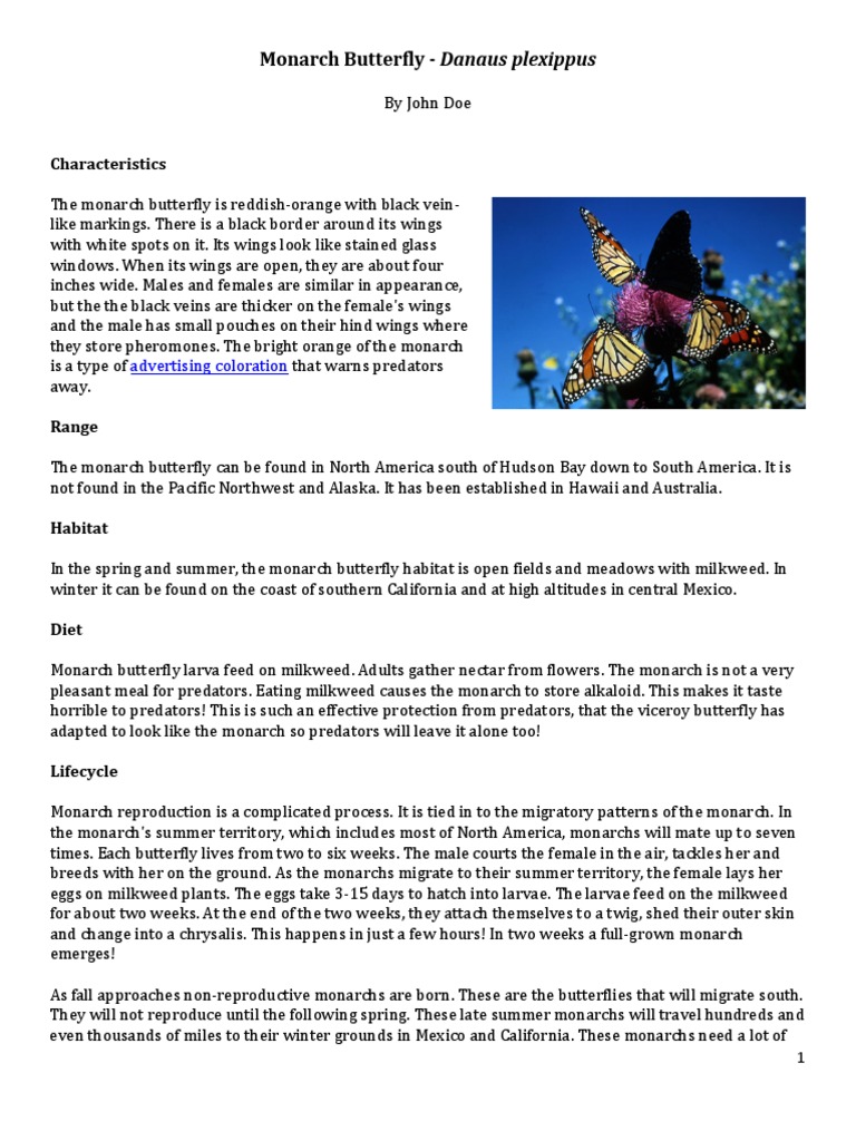 Monarch Butterfly-Test | PDF | Butterfly | Insects