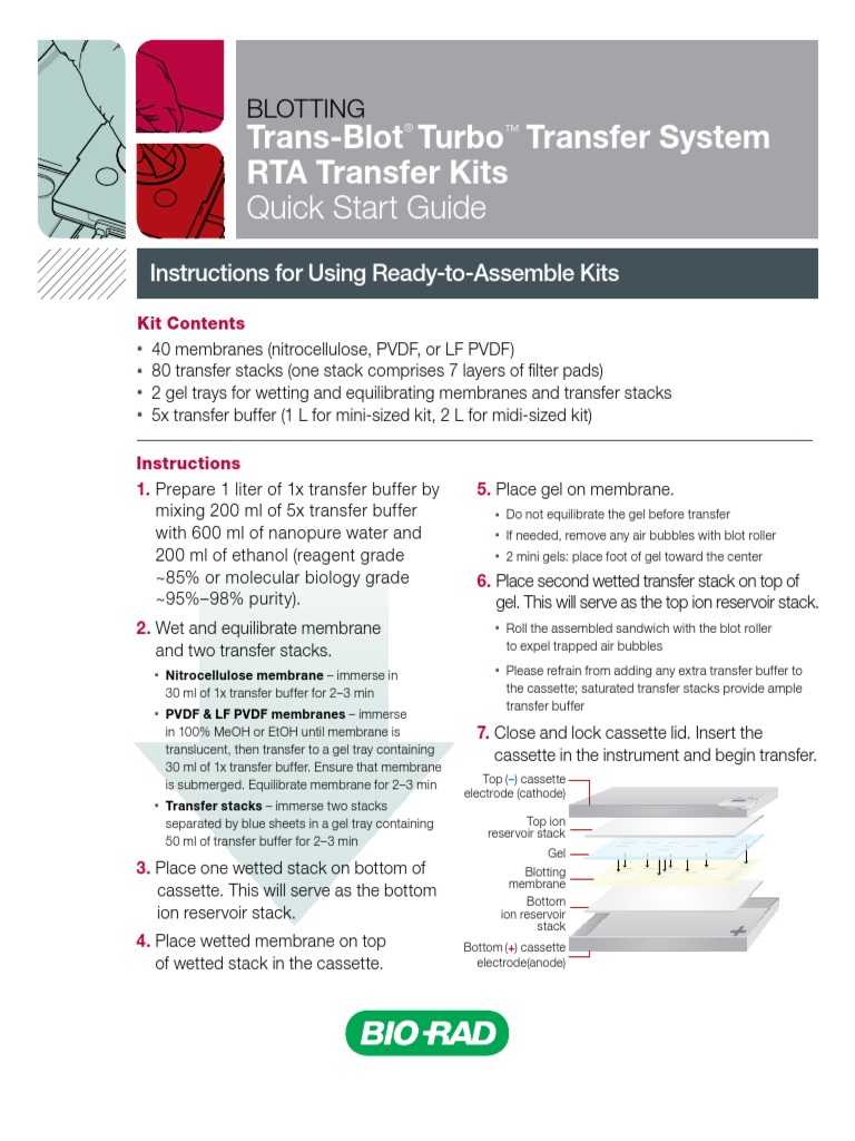 Trans-Blot Turbo Quick Start Guide | PDF | Blot (Biology) | Physical ...