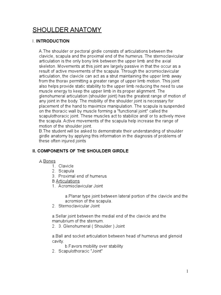 Shoulder Anatomy | PDF | Shoulder | Anatomical Terms Of Motion